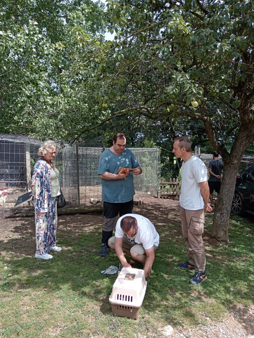 Sobre nosaltres :: Amics de la Gallina Pairal